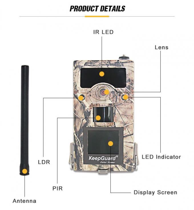 Surveillance Deer Trail Cameras / Infrared Wildlife Camera High Resolution