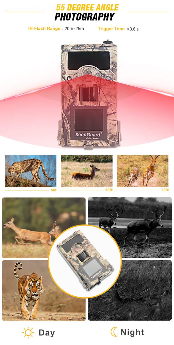 Surveillance Deer Trail Cameras / Infrared Wildlife Camera High Resolution